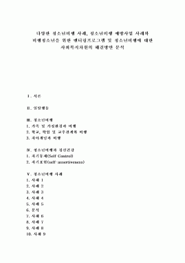 [청소년비행][비행청소년][청소년문제][청소년범죄][비행][청소년][멘터링]다양한 청소년비행 사례, 청소년비행 예방사업 사례와 비행청소년을 위한 멘터링프로그램 및 청소년비행에 대한 사회복지차원의 해결방안-1페이지