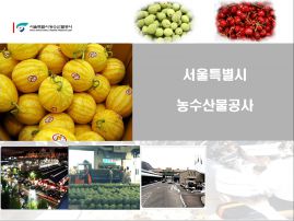 도시공기업론-서울시 농수산물공사 발표자료-1페이지