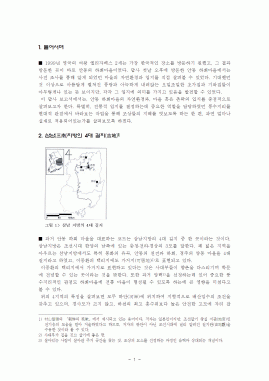 안동 하회마을 답사 보고서-1페이지