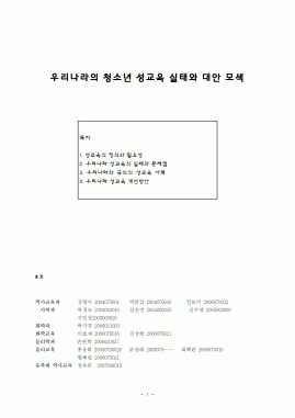 우리나라의 청소년 성교육 실태와 대안 모색-1페이지