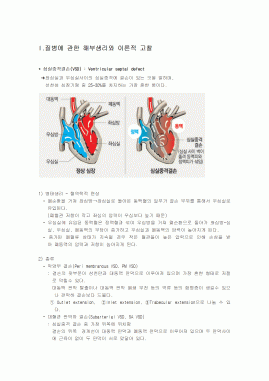 심실 중격 결손-1페이지