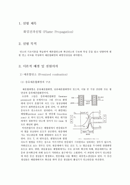 화염 전파 실험-1페이지