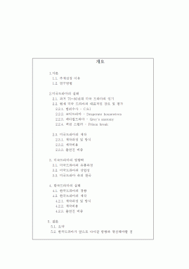 미국 드라마 열풍의 원인-1페이지