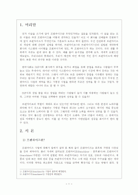 성공한 프렌차이즈 기업이 되기위한 전략-1페이지