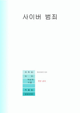 사이버범죄에 대한 고찰-1페이지