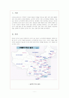 중국 소수민족에 대해서-1페이지