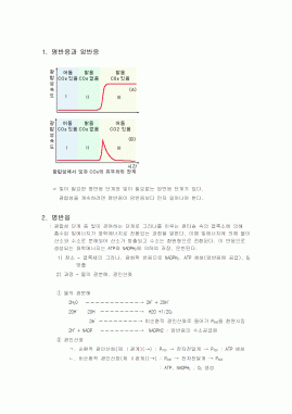 명반응과 암반응-1페이지