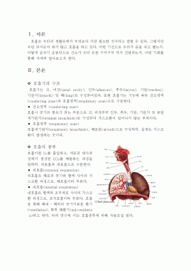 호흡기계 구조와 기능 호흡의 종류-1페이지