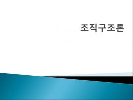 조직 구조론 조직이론-1페이지