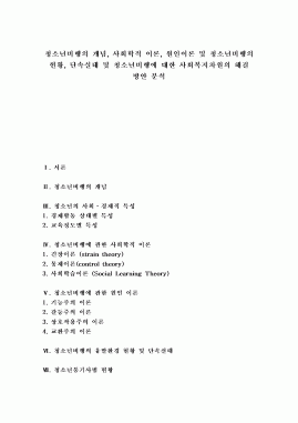 [청소년비행][비행청소년][청소년문제]청소년비행의 개념, 청소년비행의 사회학적 이론, 청소년비행의 원인이론, 청소년비행의 현황, 청소년비행의 단속실태, 청소년비행에 대한 사회복지차원의 해결 방안 분석-1페이지