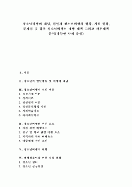 청소년비행의 개념, 청소년비행의 원인, 청소년비행의 현황, 청소년비행의 시설 현황, 청소년비행의 문제점, 향후 청소년비행의 예방 대책, 청소년비행의 사후대책 분석(다양한 청소년비행 사례 중심), 비행 청소년-1페이지