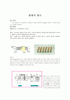 전자기유도 측정[물리실험]-1페이지