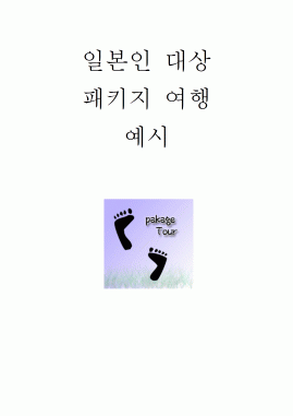 일본인을 위한 패키지  사례-1페이지