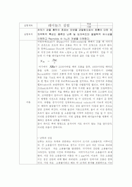 레이놀즈실험(예비보고서)-1페이지