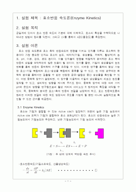 [실험보고서]효소반응속도론-1페이지