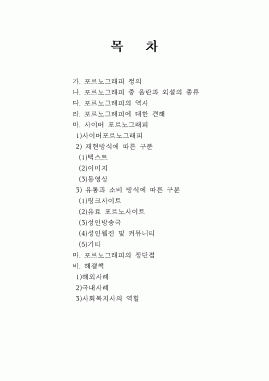 포르노그래피/ 사회문제론/-1페이지