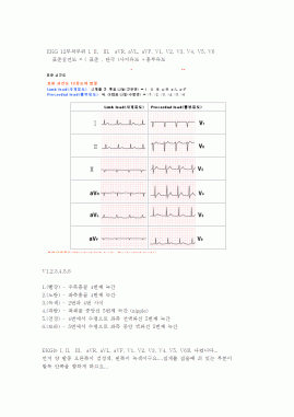 EKG 부착부위-1페이지