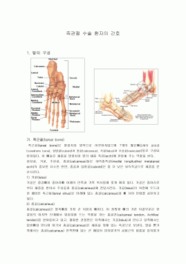 [논문] 족관절 수술 환자의 간호-1페이지