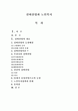   노인복지와 실버산업의 관계 -1페이지