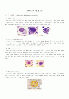 거핵세포계 및 혈소판-1페이지