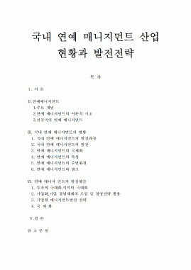 국내 연예 매니지먼트 산업 현황과 발전전략,기업형 매니지먼트발전 전략,국 제 화-1페이지