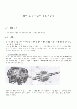 예비레포트)3상 농형 유도전동기-1페이지