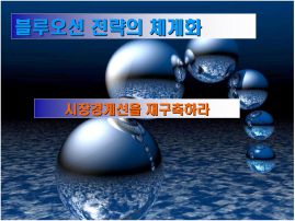 [블루오션]블루오션 전략 체계화-1페이지