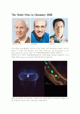 2008 노벨 화학싱 및 생리의학상-1페이지