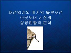 국내 아웃도어 시장의 성장과 현황분석 케이스 발표 PPT 노스페이스 코오롱스포츠 K2코리아-1페이지