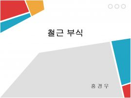 철근 부식에 관하여~-1페이지