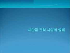 새만금의 간척사업의 실태-1페이지