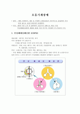 호흡기계장애 만성폐쇄성폐질환 억제성 폐질환 기관지 폐 감염-1페이지