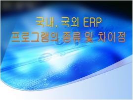 ERP 도입의 국내, 국외 프로그램의 종류 및 차이점-1페이지