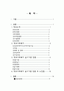 학교사회사업 기관 방문보고서-1페이지