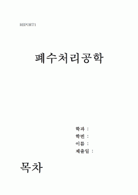 폐수처리 주요공정 처리방법 및 특성과 처리장문제 개선방향 국내외 처리장과 비교설명.-1페이지