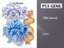 암[Cancer],P53 Gene, Protein의 정의 기작 발생에 대하여-1페이지