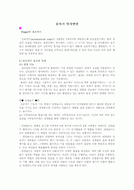 유아기 인지발달 레포트-1페이지