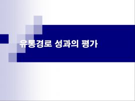 유통경로 성과의 평가-1페이지