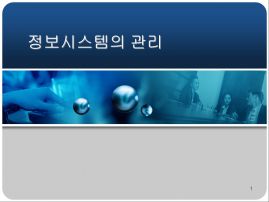 경영정보시스템(정보시스템의 관리)-1페이지