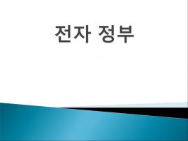 전자정부의 이해-1페이지