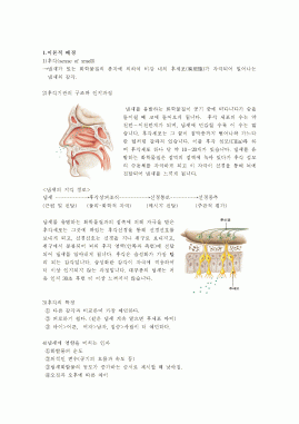 관능검사-냄새-1페이지