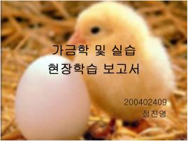 예산농장 현장학습 보고서-1페이지