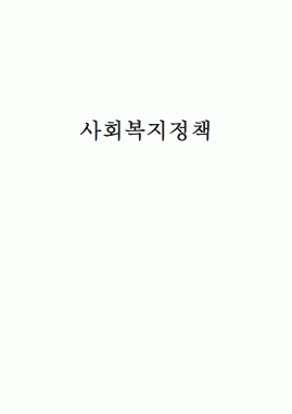 [분석/조사] 사회복지 정책 [사회복지]-1페이지