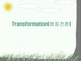 Plant Transformation (식물형질전환) 발표용 자료.-1페이지