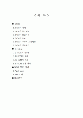 SCM (supply chain management) 성공사례-1페이지