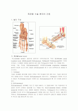 족관절 수술 환자의 간호-1페이지