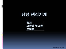 남성생식계-1페이지