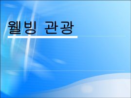 웰빙 관광에 대하여-1페이지