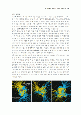 [지구환경] 지구 자기장에 대하여 -1페이지