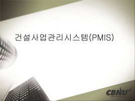 건설사업관리시스템(PMIS)-1페이지